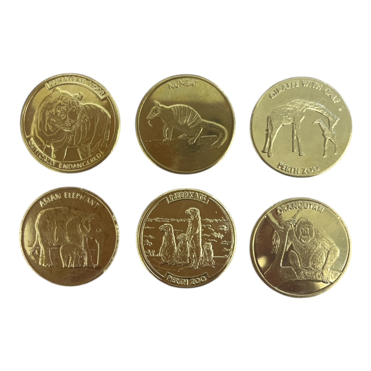 Perth Zoo Souvenir Brass Coin Set – Perth Zoo Shop