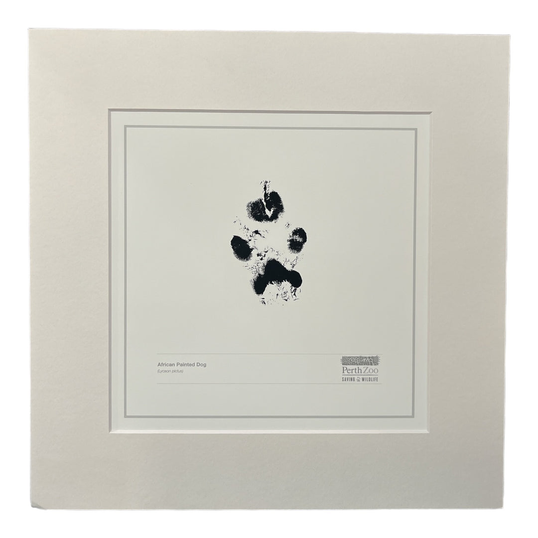 African Painted Dog Paw Print – Perth Zoo Shop