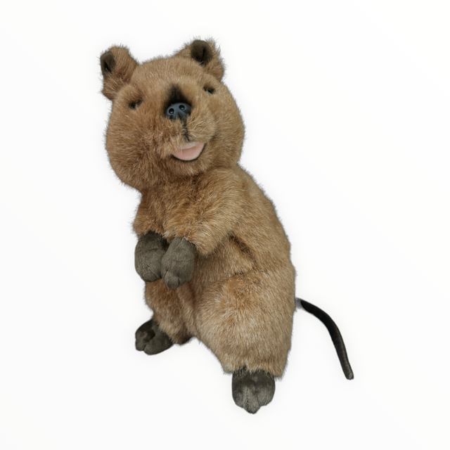 Quokka Soft Toy – Perth Zoo Shop