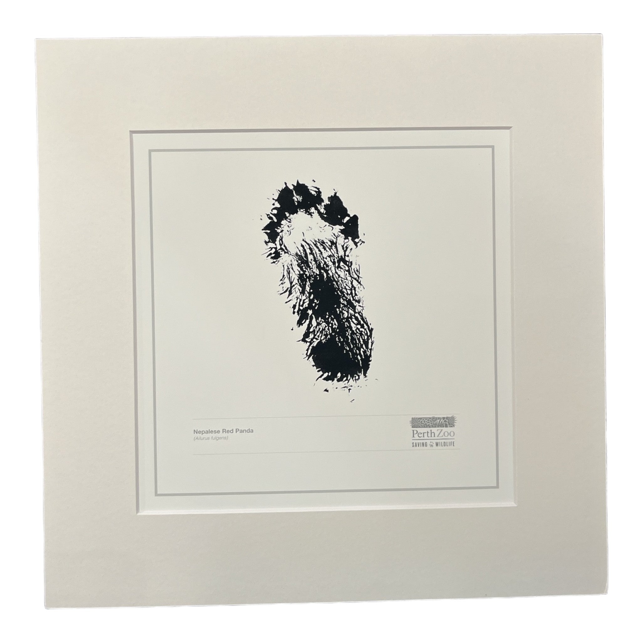 Red Panda Paw Print – Perth Zoo Shop