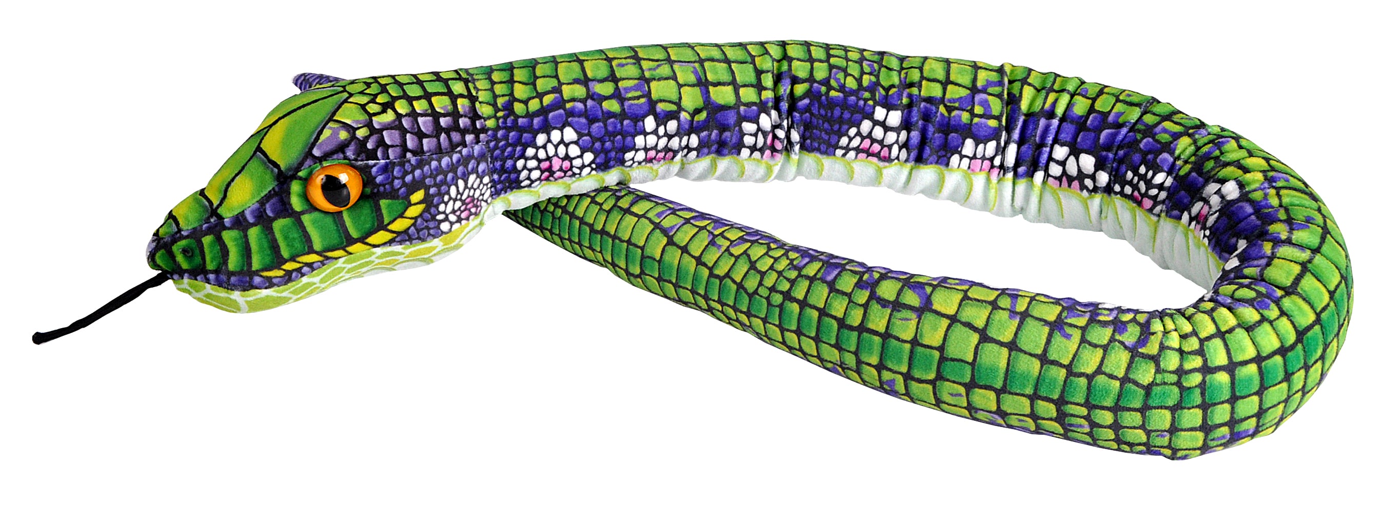 Green Scales Snake – Perth Zoo Shop