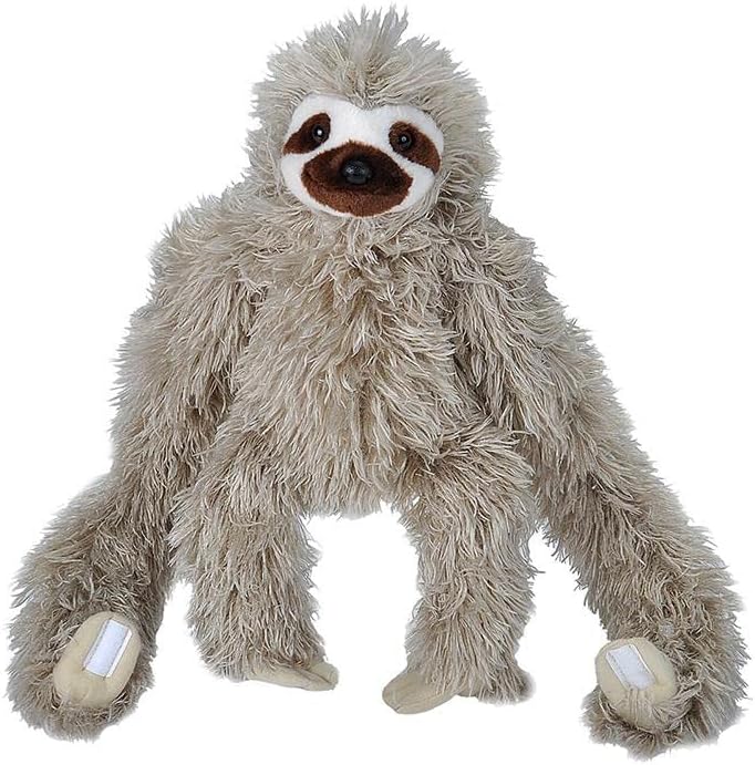 Hanging Three Toed Sloth – Perth Zoo Shop