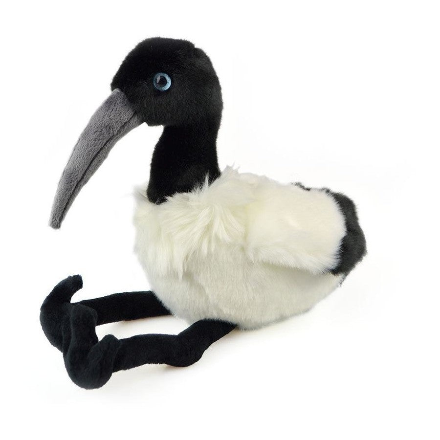 Ibis Soft Toy 30cm – Perth Zoo Shop