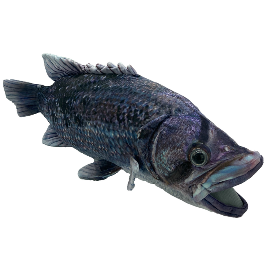 Dhufish Soft Toy – Perth Zoo Shop