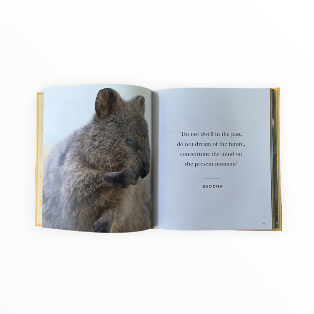 The Quokka's Guide to Happiness Book – Perth Zoo Shop