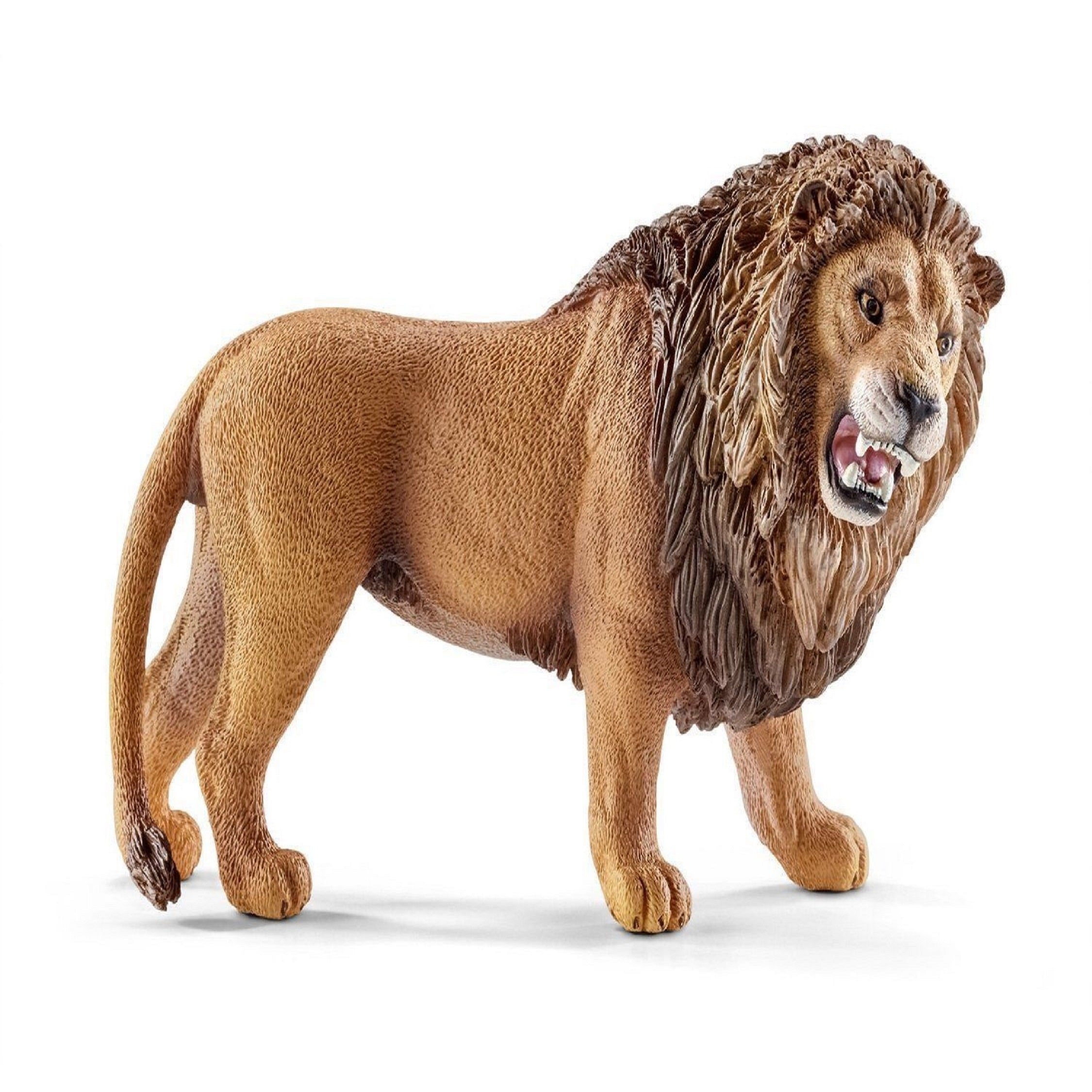 Schleich Roaring Lion – Perth Zoo Shop