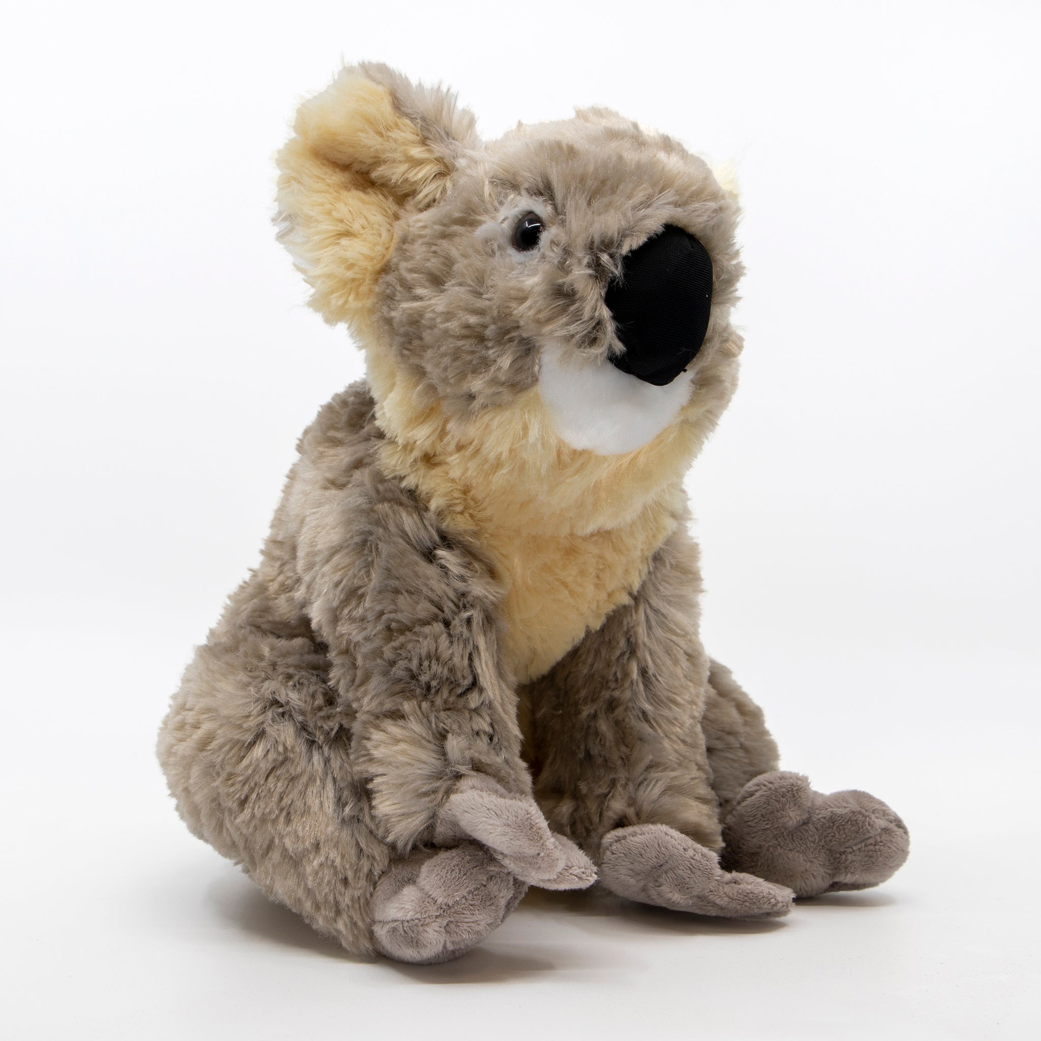 Koala Soft Toy – Perth Zoo Shop