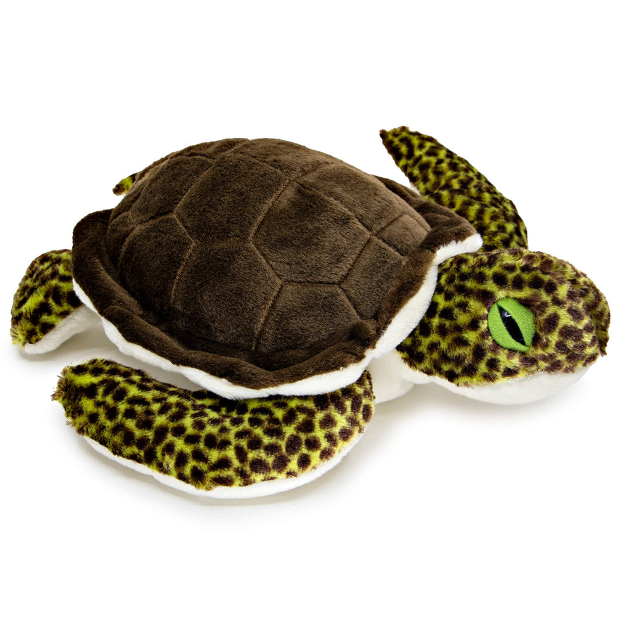 Green Sea Turtle Soft Toy – Perth Zoo Shop