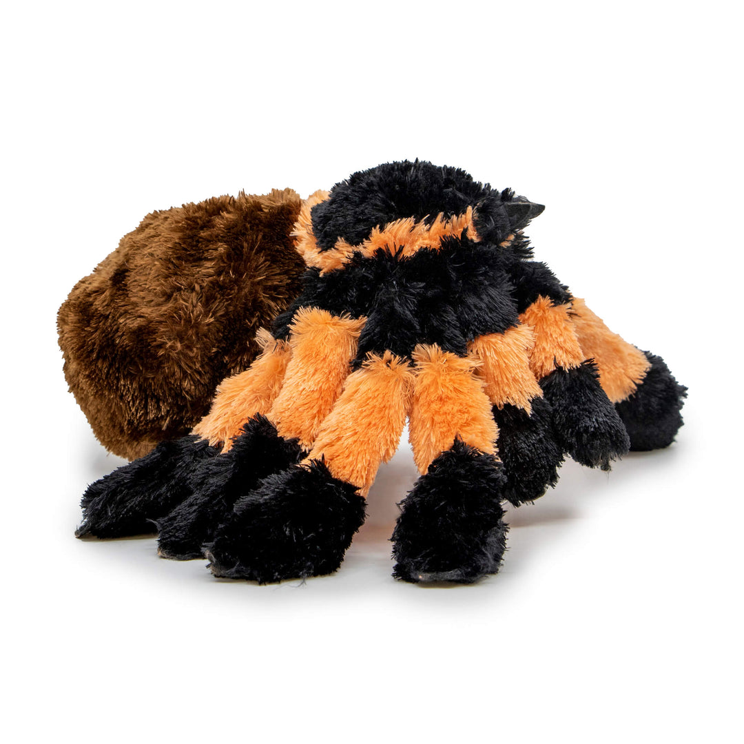 Tarantula Soft Toy – Perth Zoo Shop