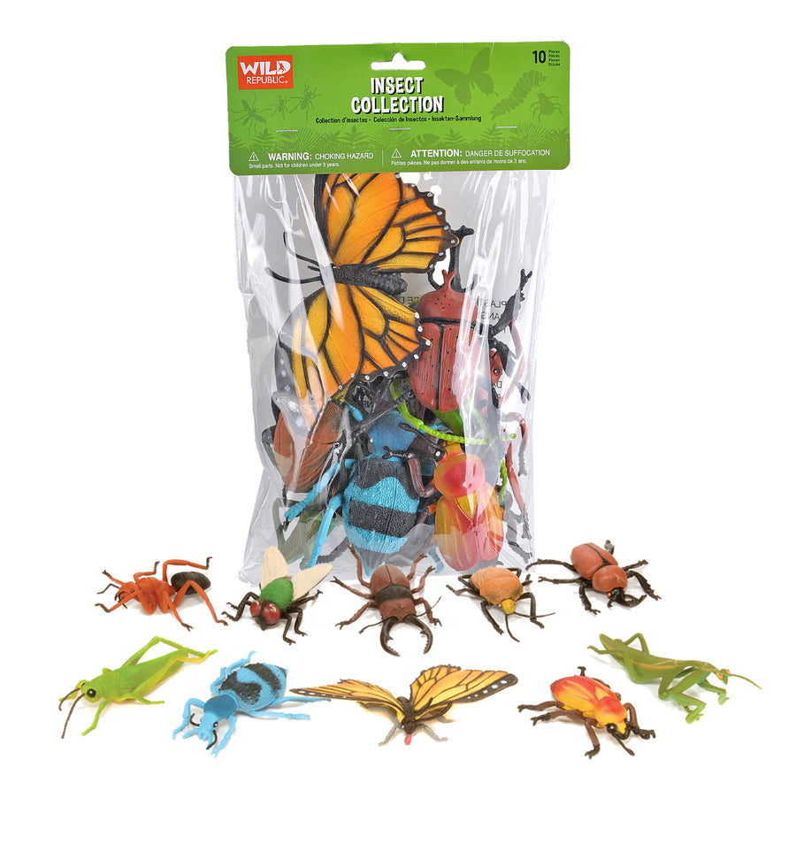 Insect Figurine Collection – Perth Zoo Shop
