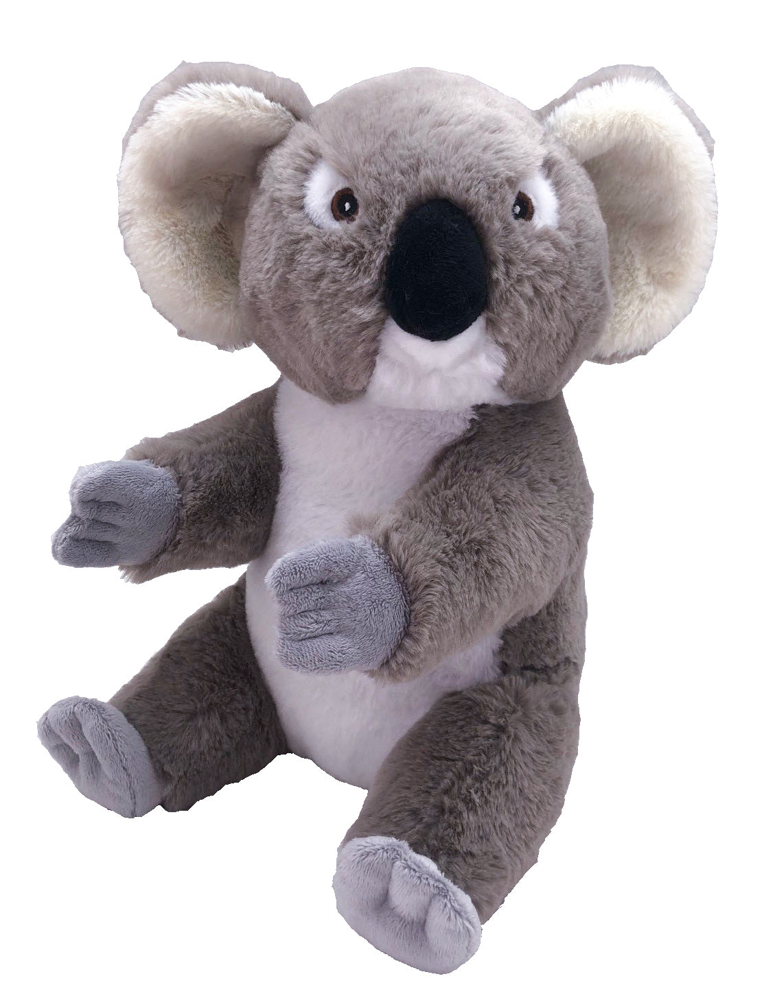 Koala Eco-friendly Soft Toy – Perth Zoo Shop