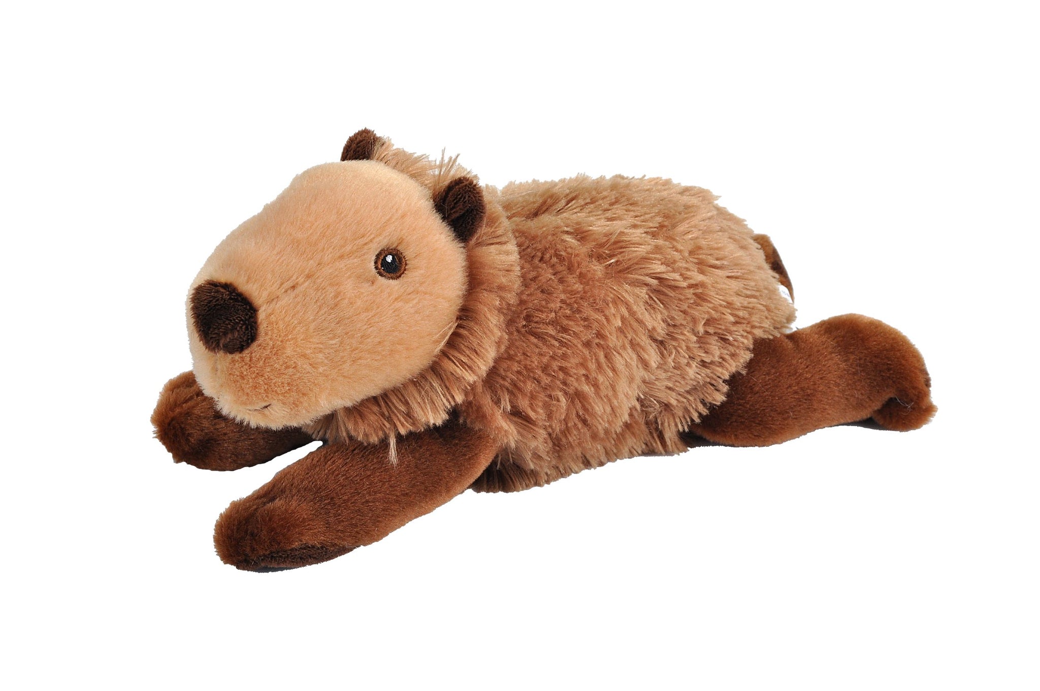 Small Capybara Eco-friendly Soft Toy – Perth Zoo Shop