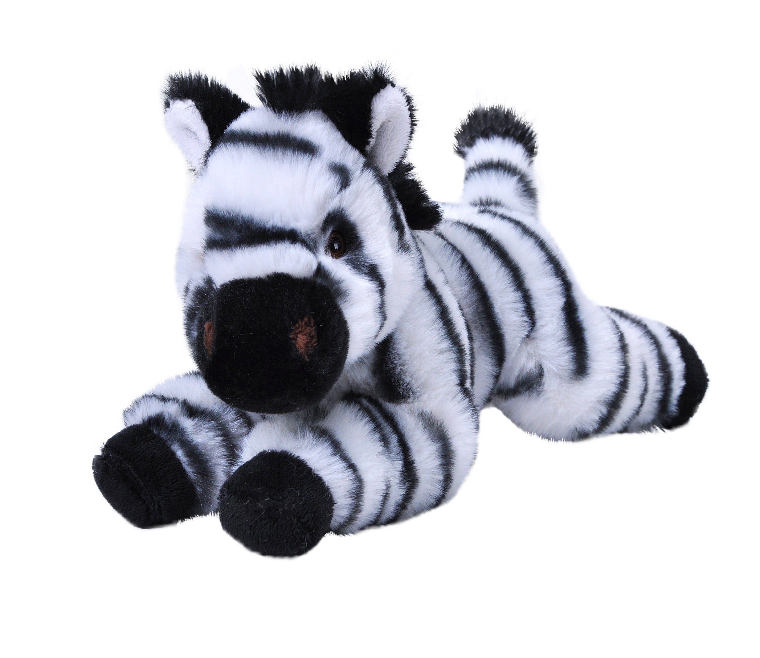 Small Zebra Eco-friendly Soft Toy – Perth Zoo Shop