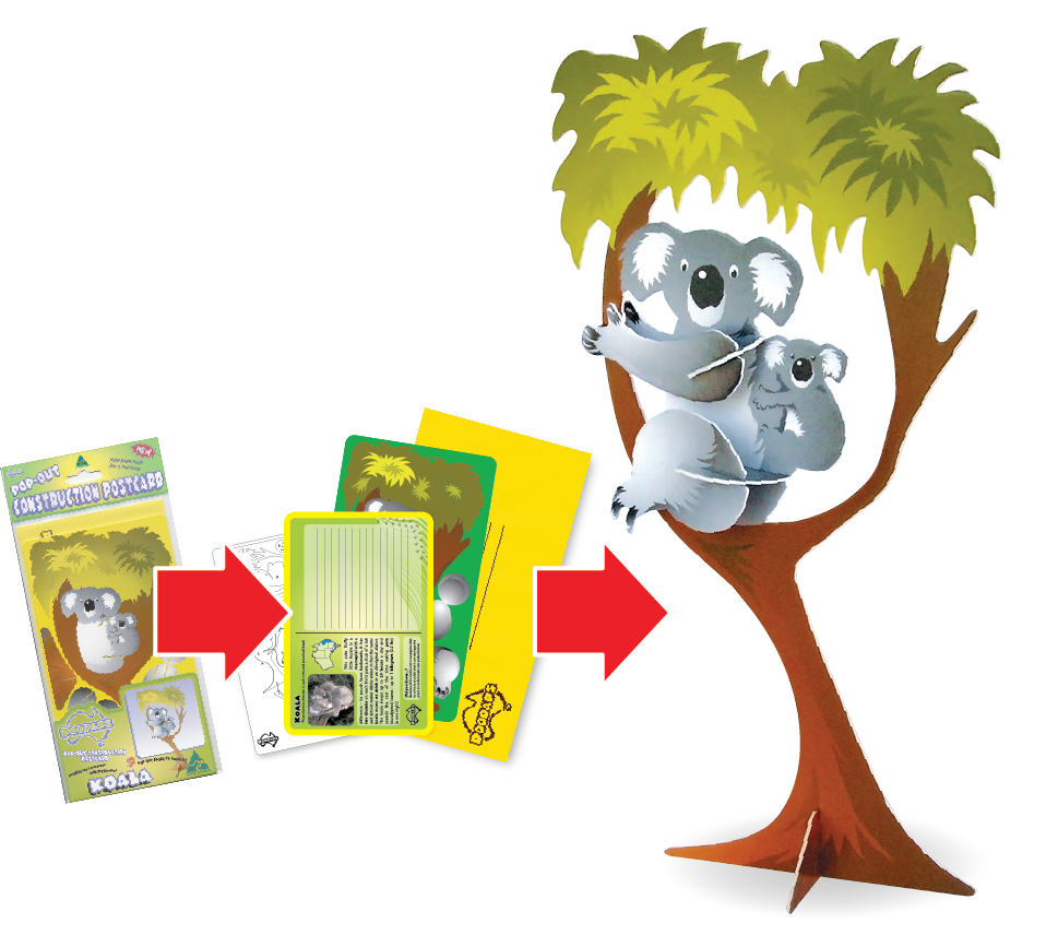 Koala Pop-Out Construction Postcard – Perth Zoo Shop