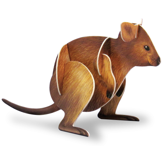 Quokka Pop-Out Construction Postcard – Perth Zoo Shop