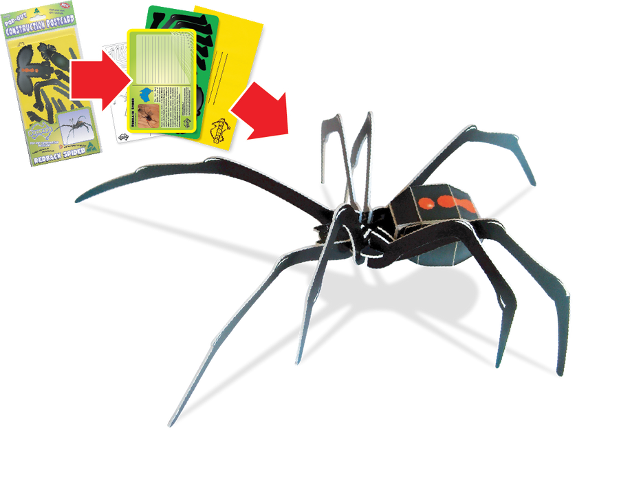 Red Back Spider Pop-Out Construction Postcard – Perth Zoo Shop