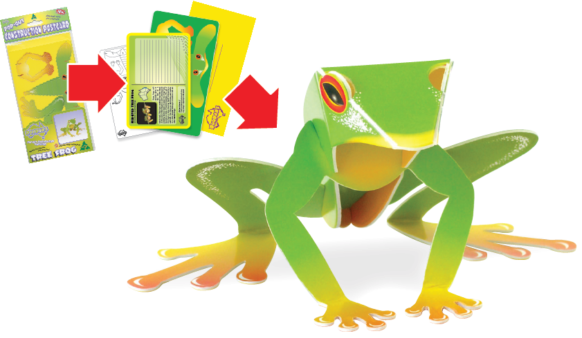 Tree Frog Pop-Out Construction Postcard – Perth Zoo Shop