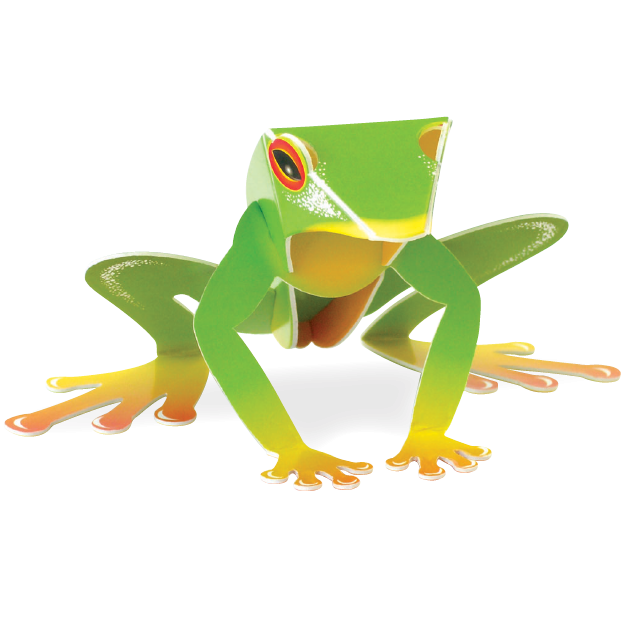 Tree Frog Pop-Out Construction Postcard – Perth Zoo Shop